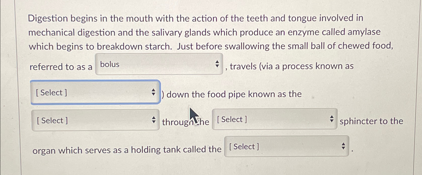 Solved Digestion begins in the mouth with the action of the | Chegg.com