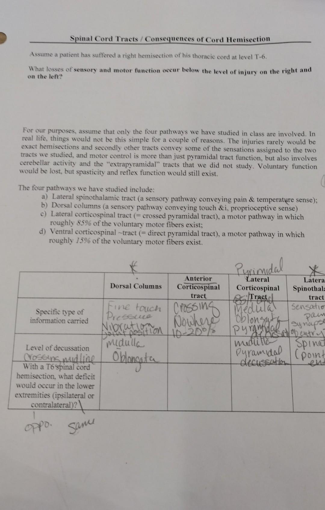 Solved Spinal Cord Tracts / Consequences of Cord Hemisection | Chegg.com
