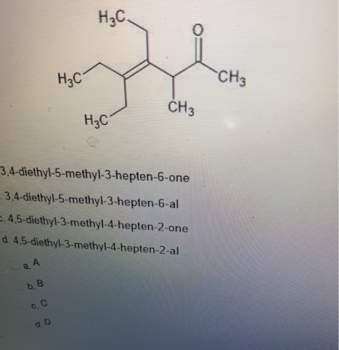Solved Н.С. H₃C -CH₃ CH3 H3C | Chegg.com