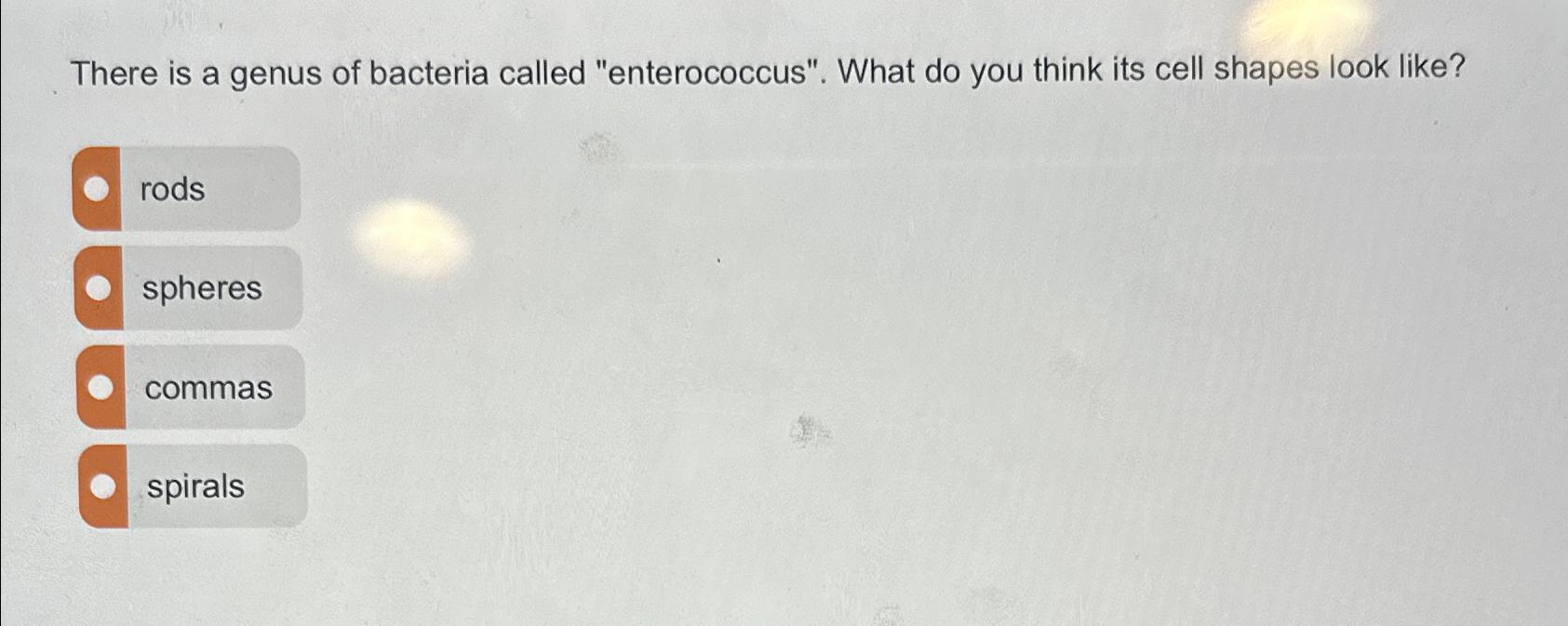 Solved There is a genus of bacteria called "enterococcus". | Chegg.com