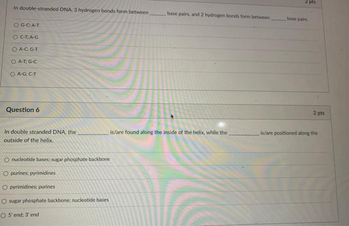 Solved In double-stranded DNA, 3 hydrogen bonds form between | Chegg.com