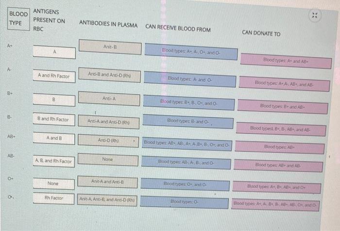 Solved I need help figuring out what is incorrect | Chegg.com