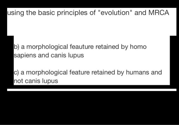 Solved using the basic principles of "evolution" and MRCA b) | Chegg.com