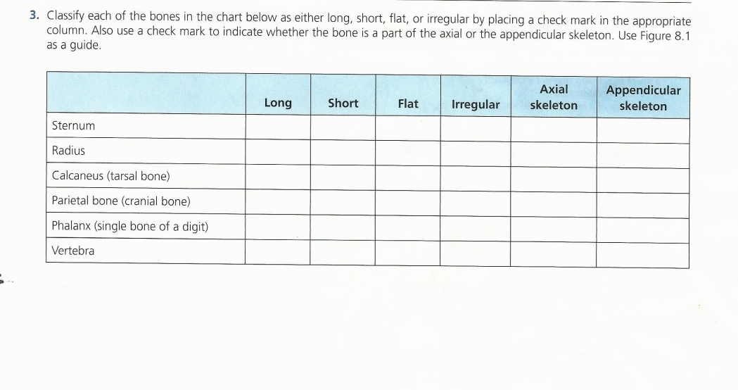 Solved Classify each of the bones in the chart below as | Chegg.com