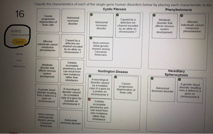 Solved Complete the following chart by dragging the | Chegg.com