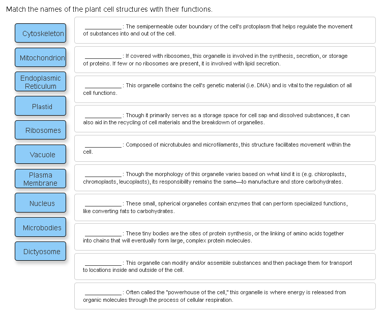 Solved Match the names of the plant cell structures with | Chegg.com