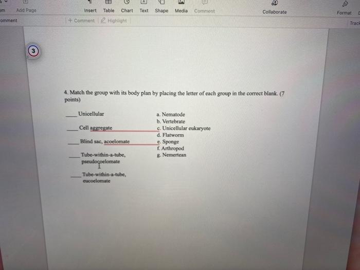 Solved Add Page LAS Text Shape Media Comment Collaborate | Chegg.com