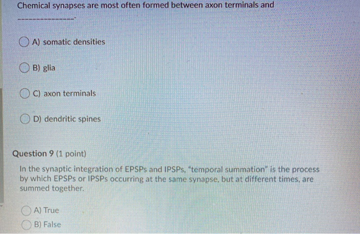 Solved Chemical synapses are most often formed between axon | Chegg.com