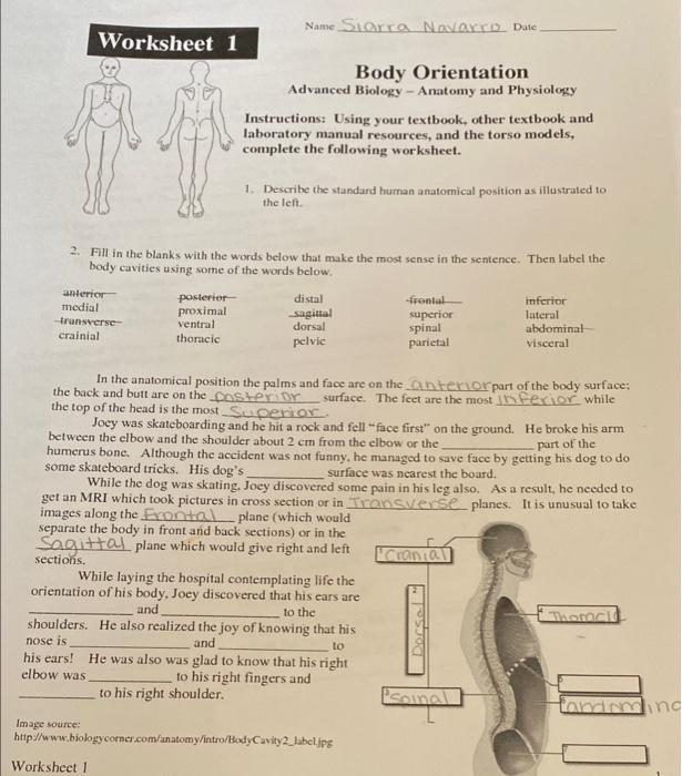 Solved Name Suara Navarro Date Worksheet 1 Body Orientation | Chegg.com