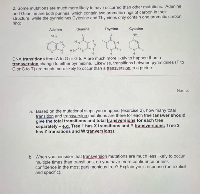 Solved 2. Some mutations are much more likely to have | Chegg.com