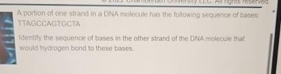 Solved A portion of one strand in a DNA molecule has the | Chegg.com