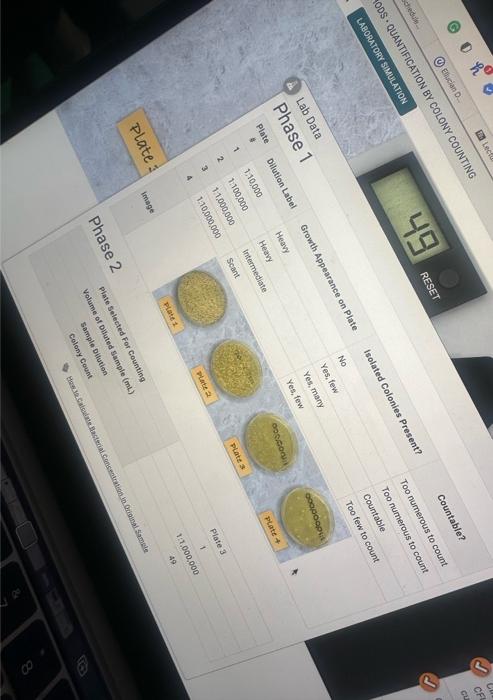 Solved Using the count data and observational dnta you | Chegg.com