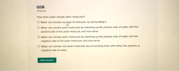 Solved Q28 3 Points How does water solvate other molecules? | Chegg.com