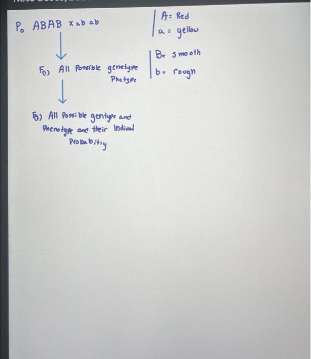 Solved punnett Square diagram and explain it more in death | Chegg.com