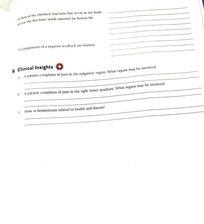 Solved o) List the five basic needs essential for human | Chegg.com