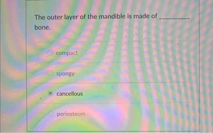 Solved The outer layer of the mandible is made of bone. | Chegg.com