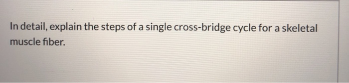 Solved In detail, explain the steps of a single cross-bridge | Chegg.com