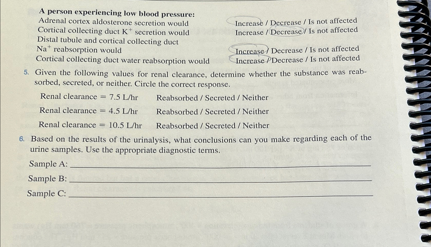 Solved A person experiencing low blood pressure:Adrenal | Chegg.com