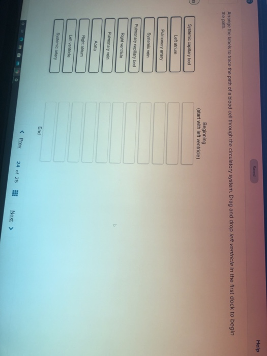 Solved Help Saved Arrange the labels to trace the path of a | Chegg.com Solved Help Saved Arrange the labels to trace the path of a | Chegg.com