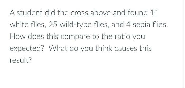 Solved A challenge question! White is epistatic to sepia. | Chegg.com