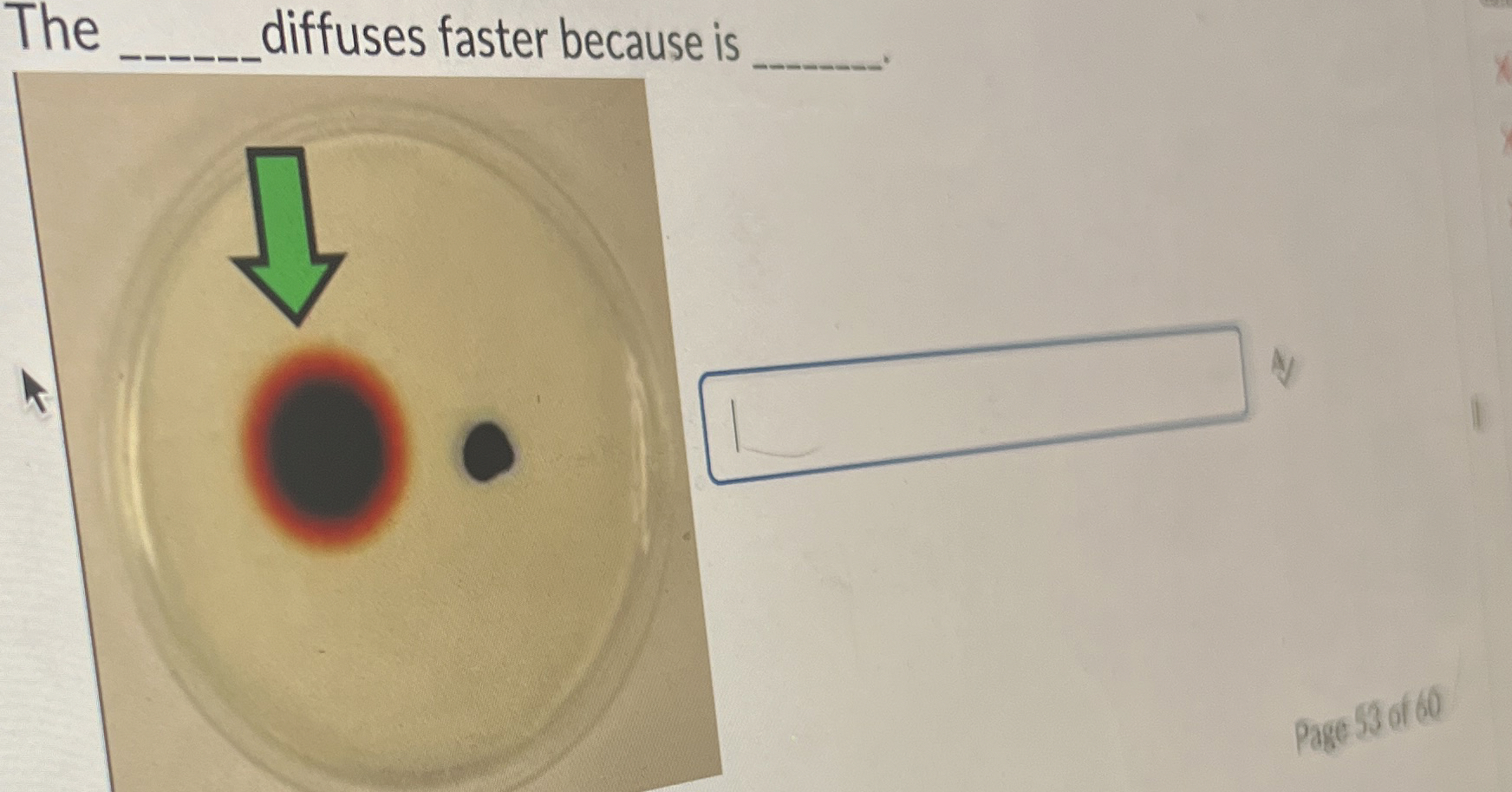 Solved The _ ﻿diffuses faster because is __ | Chegg.com