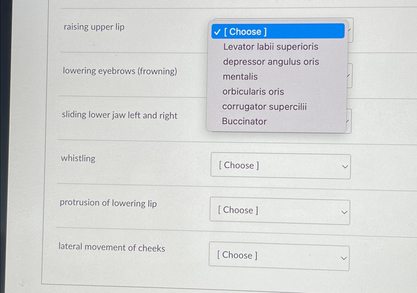 Solved raising upper lip [ ﻿Choose ]Levator labii | Chegg.com