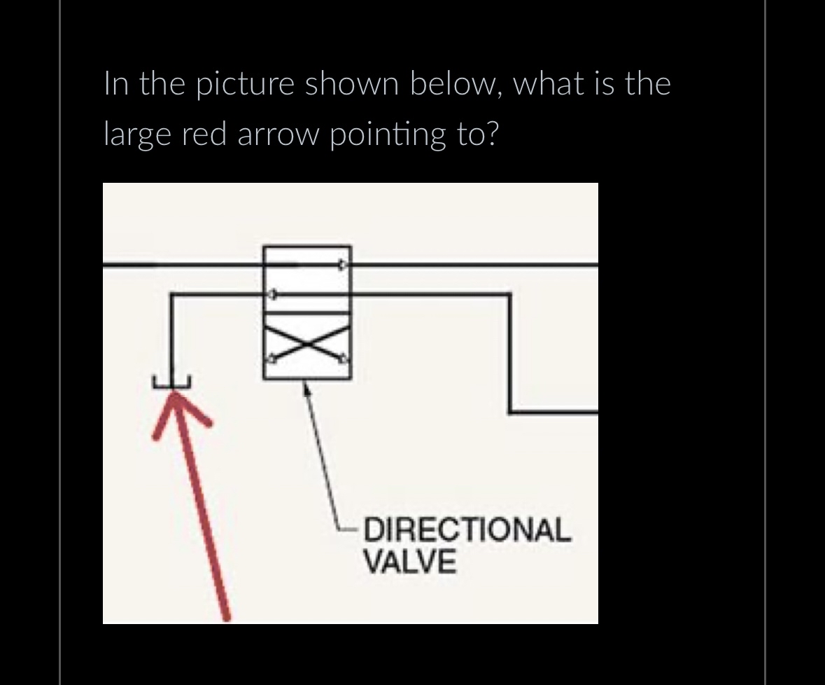 Solved In the picture shown below, what is the large red | Chegg.com