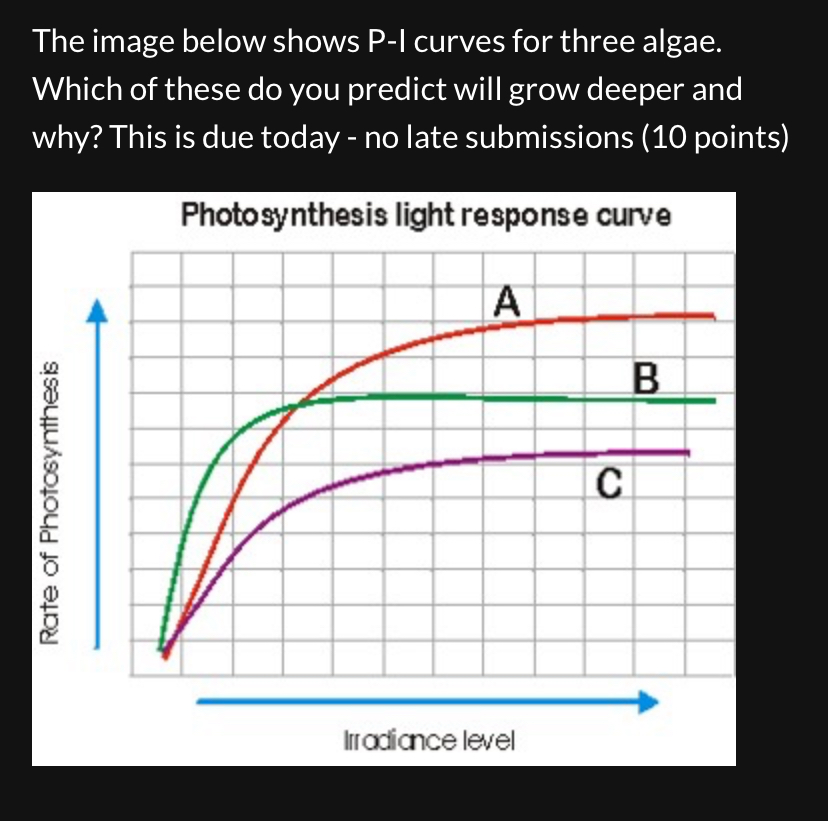 Solved The image below shows P-I curves for three algae. | Chegg.com