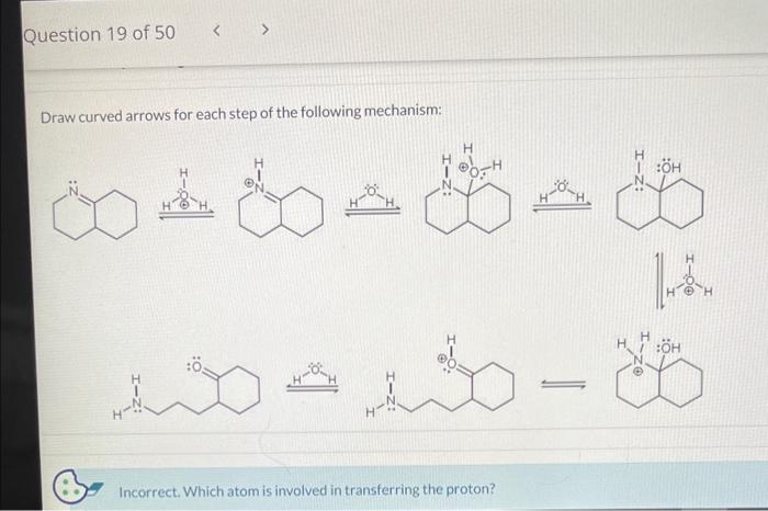 Solved i got this whole problem wrong and i dont understand | Chegg.com