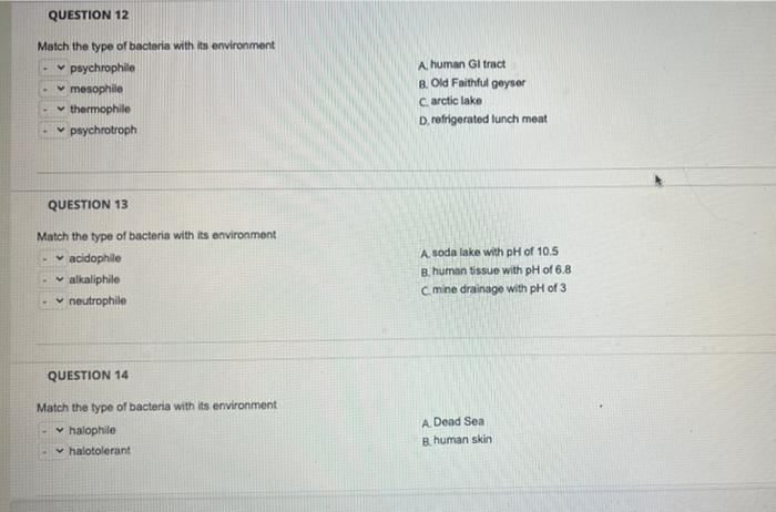 Solved Some bacterin require oxygen, because , and some | Chegg.com