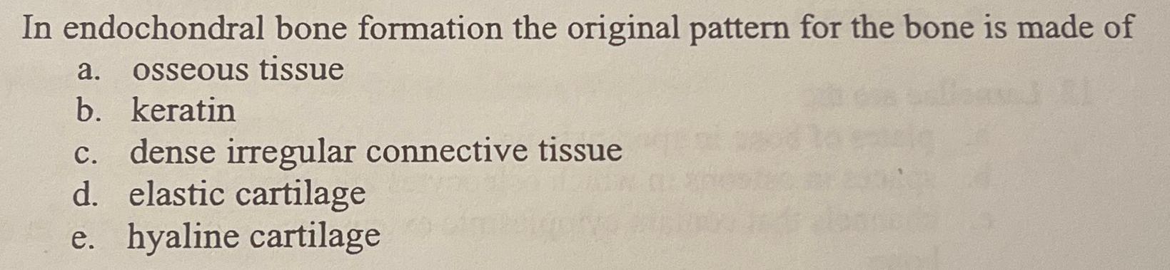 Solved In endochondral bone formation the original pattern | Chegg.com