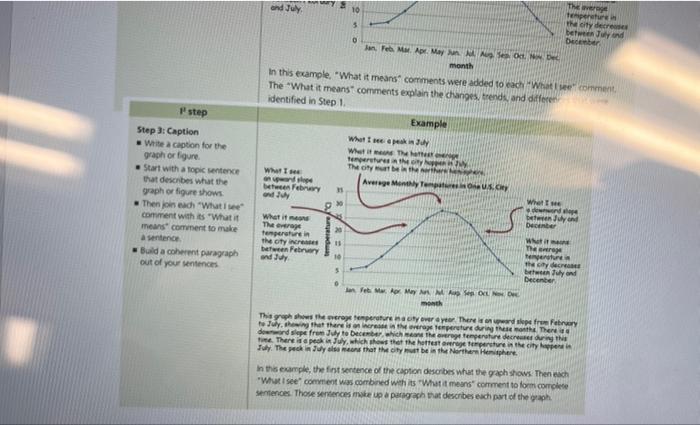 Solved P step Step 1: Identify ("What I see" comments) | Chegg.com
