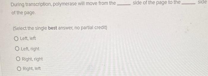 Solved Below is part of the coding strand of a eukaryotic | Chegg.com