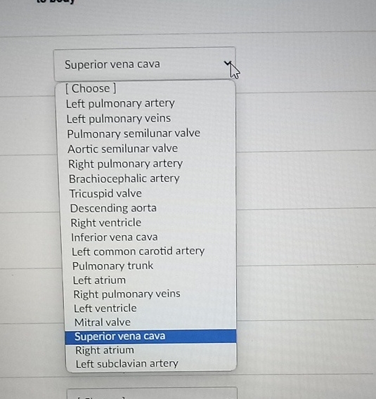 Solved Steps for Superior vena cava[ ﻿Choose]Left pulmonary | Chegg.com
