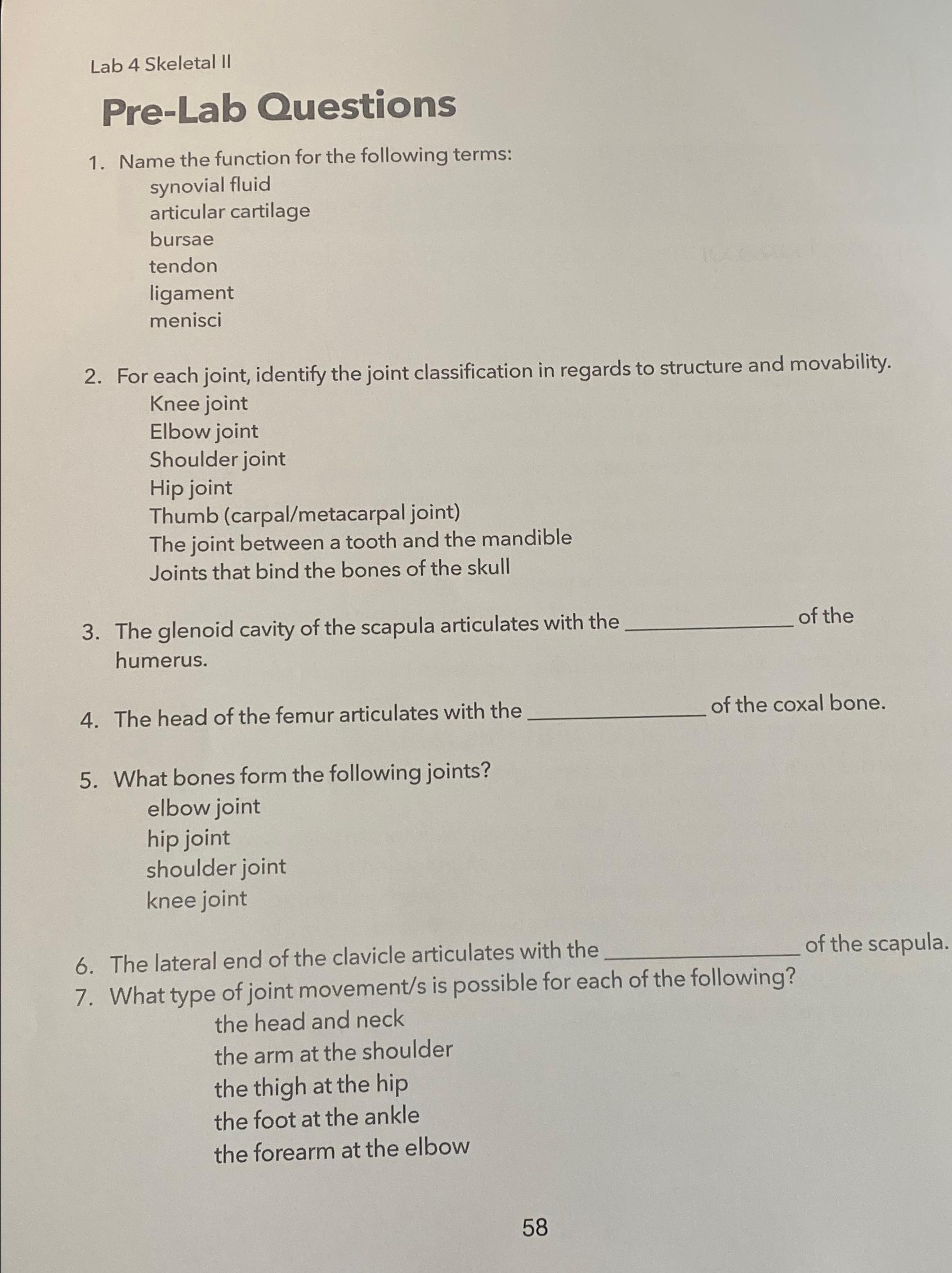 Solved Lab 4 ﻿Skeletal IIPre-Lab QuestionsName the function | Chegg.com
