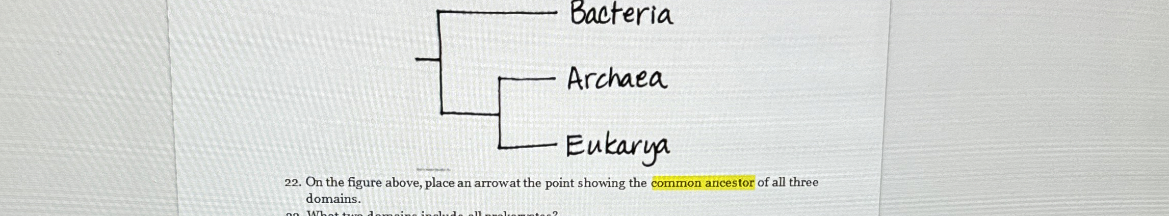 Solved ChemOn the figure above, place an arrowat the point | Chegg.com