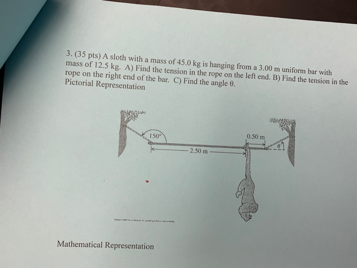 Solved 3. (35 pts) A sloth with a mass of 45.0 kg is hanging | Chegg.com