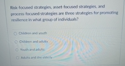 Risk-focused strategies, asset-focused strategies, | Chegg.com