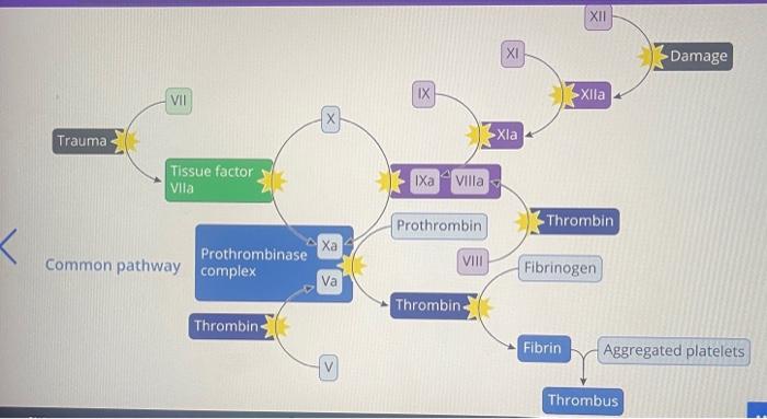 Solved select annotate and use the tools to circle the | Chegg.com