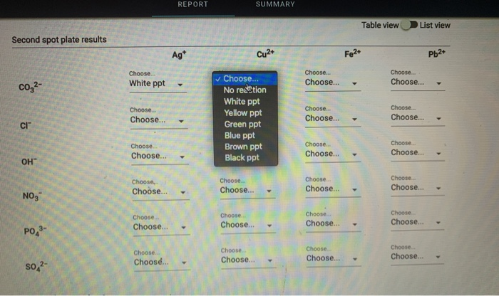 Solved REPORT SUMMARY Table view List view Second spot plate | Chegg.com