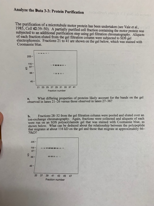Solved Analyze the Data 3-3: Protein Purification The | Chegg.com
