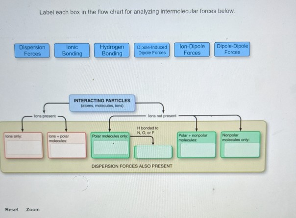 Solved Label each box in the flow chart for analyzing | Chegg.com