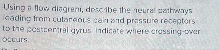 Solved Using a flow diagram, describe the neural pathways | Chegg.com
