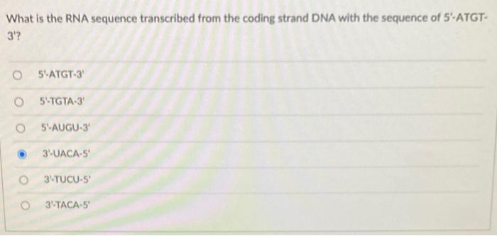 Solved What is the RNA sequence transcribed from the coding | Chegg.com