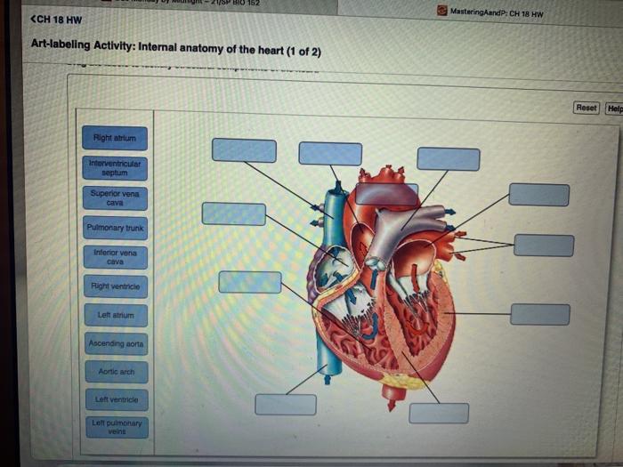 Solved SV BRO 152 MasteringAandP: CH 18 HW | Chegg.com
