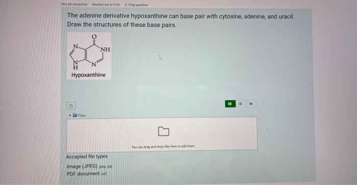 The adenine derivative hypoxanthine can base pair | Chegg.com The adenine derivative hypoxanthine can base pair | Chegg.com