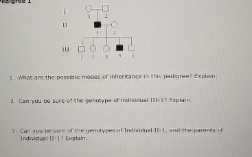 Solved What are the possible modes of inheritance in this | Chegg.com