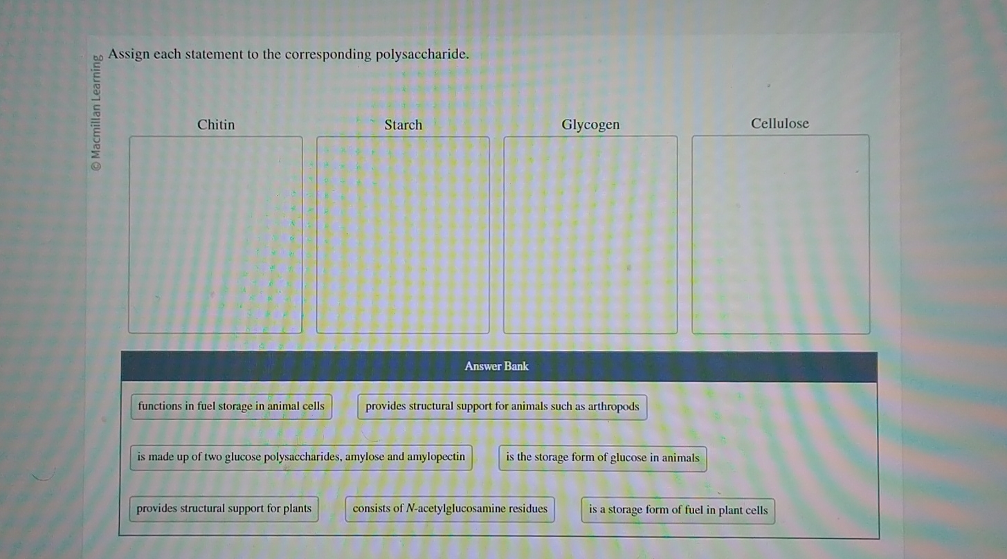 Solved Assign each statement to the corresponding | Chegg.com