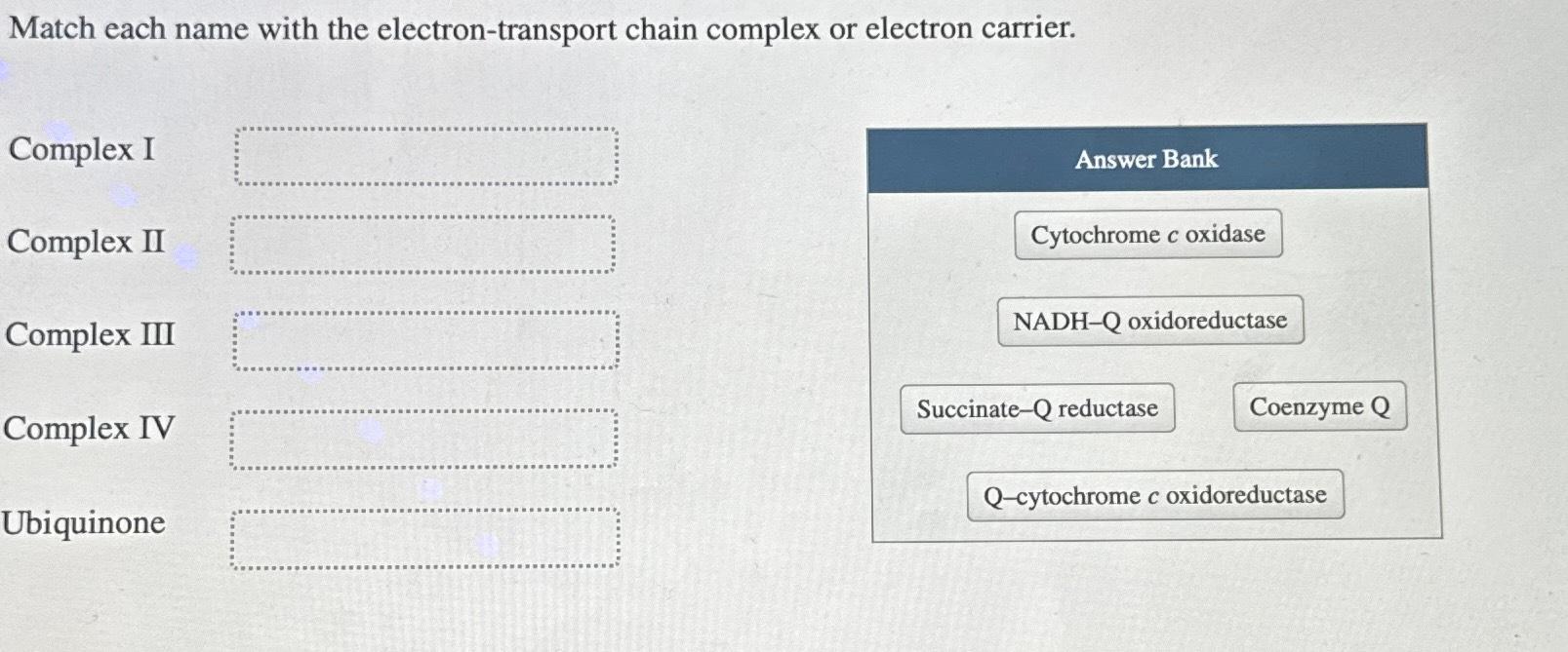 Solved Match each name with the electron-transport chain | Chegg.com