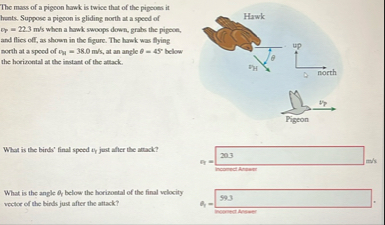 The mass of a pigcon hawk is twice that of the | Chegg.com